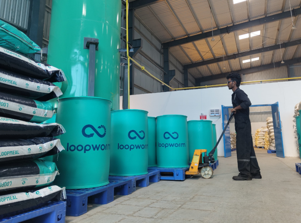 Press Releases - Loopworm